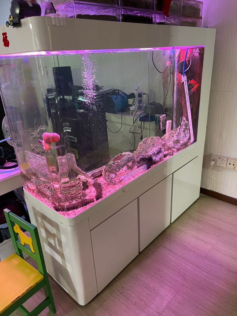 Fish tank 150cm L x 50c m W x 90cm H tank +60 cm H cabinet, Pet ...
