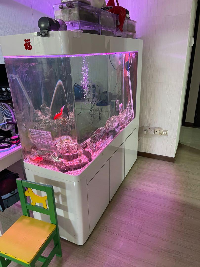 Fish tank 150cm L x 50c m W x 90cm H tank +60 cm H cabinet, Pet ...