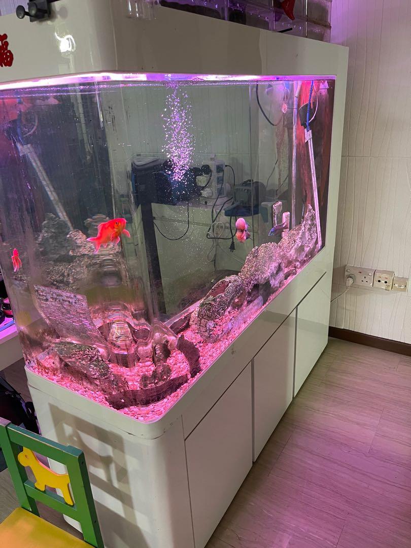 Fish tank 150cm L x 50c m W x 90cm H tank +60 cm H cabinet, Pet ...