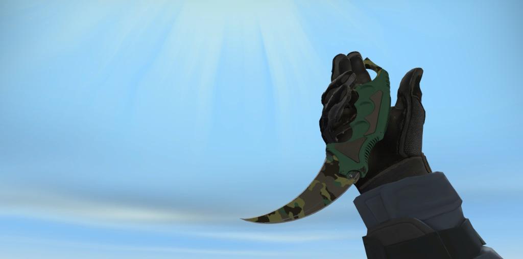 Karambit Boreal Forest FT 0.18 Float, Video Gaming, Gaming Accessories ...