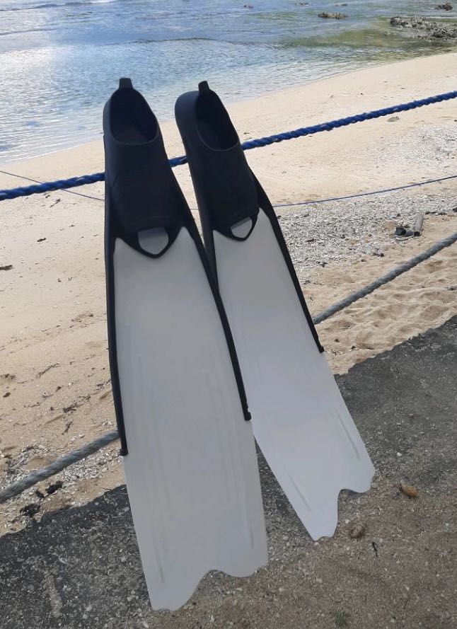 Plastic Long Fins, Hobbies & Toys, Travel, Travel Essentials ...