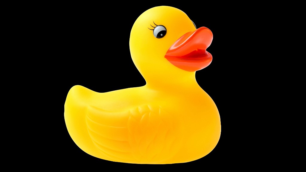 Programmingcoding Assignment Help In Java Hobbies And Toys Books