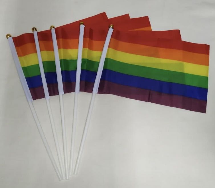 RAINBOW/PRIDE FLAGLET BUNDLE (10pcs), Hobbies & Toys, Stationary ...