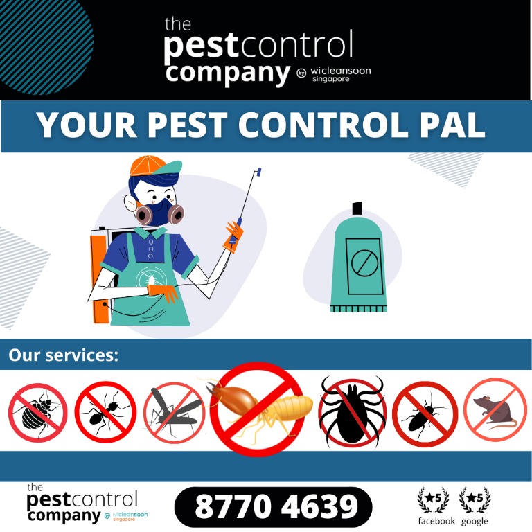 12. Rat/ Rodent/ Cockroach/ Termite/ Bedbugs/ Ants/ Mosquitoes/ House ...