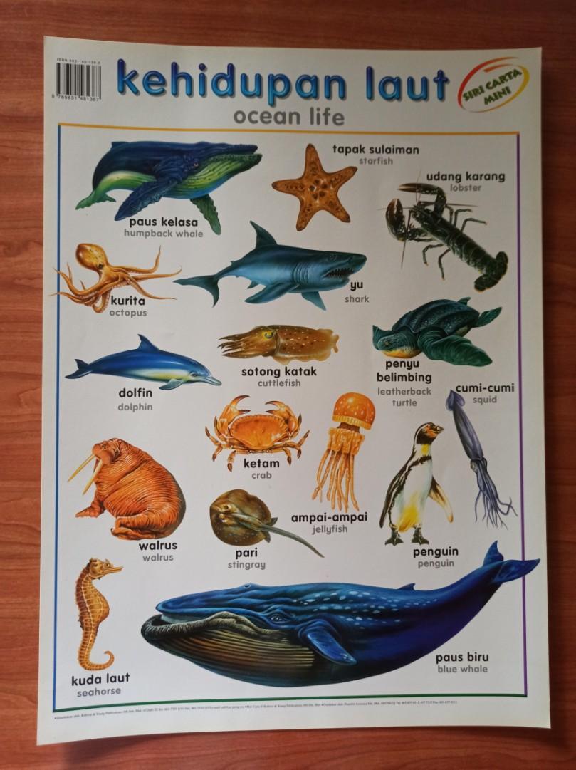 8pcs Malay English Learning Charts, Hobbies & Toys, Stationery & Craft ...