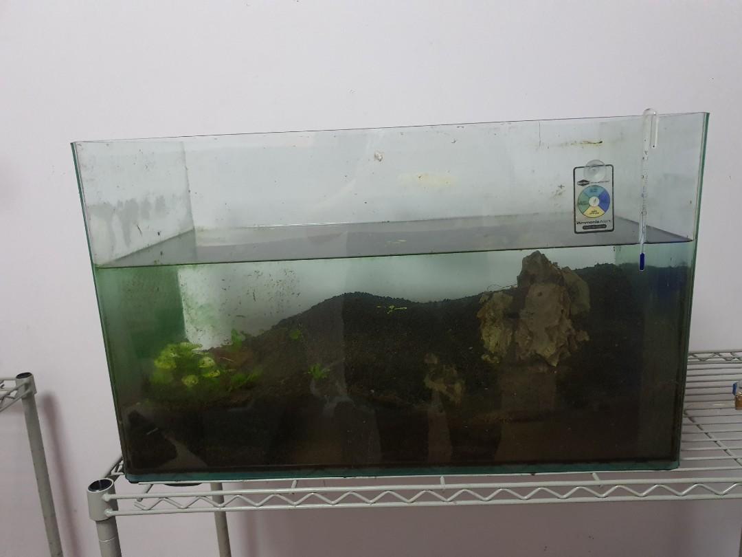 Fish tank 60cm x 30cm x 34cm, Pet Supplies, Homes & Other Pet ...