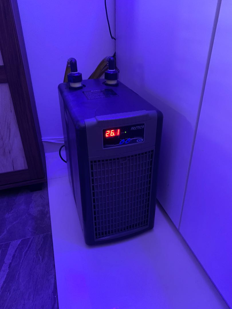 JBJ Arctica DBE-200 chiller, Pet Supplies, Homes & Other Pet ...