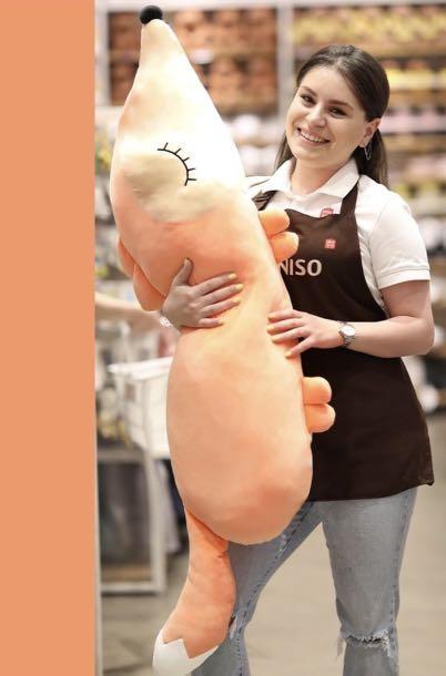 Miniso Large Fox Plush Toy, Hobbies & Toys, Toys & Games on Carousell