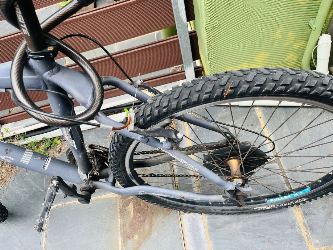 Peerless Bike 變速單車, 運動產品, 單車及配件, 單車 - Carousell