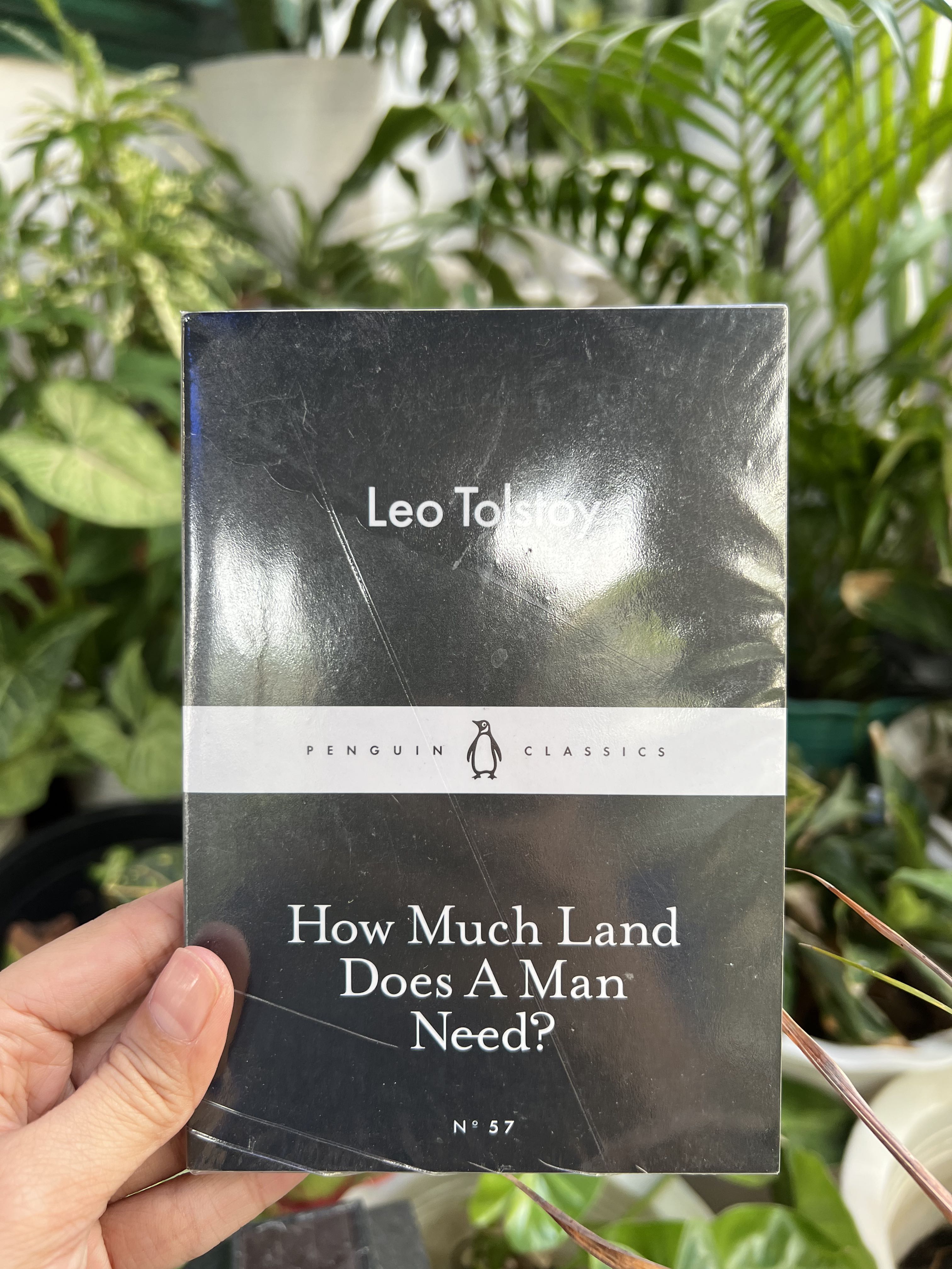 Penguin Classics, Hobbies & Toys, Books & Magazines, Fiction & Non ...