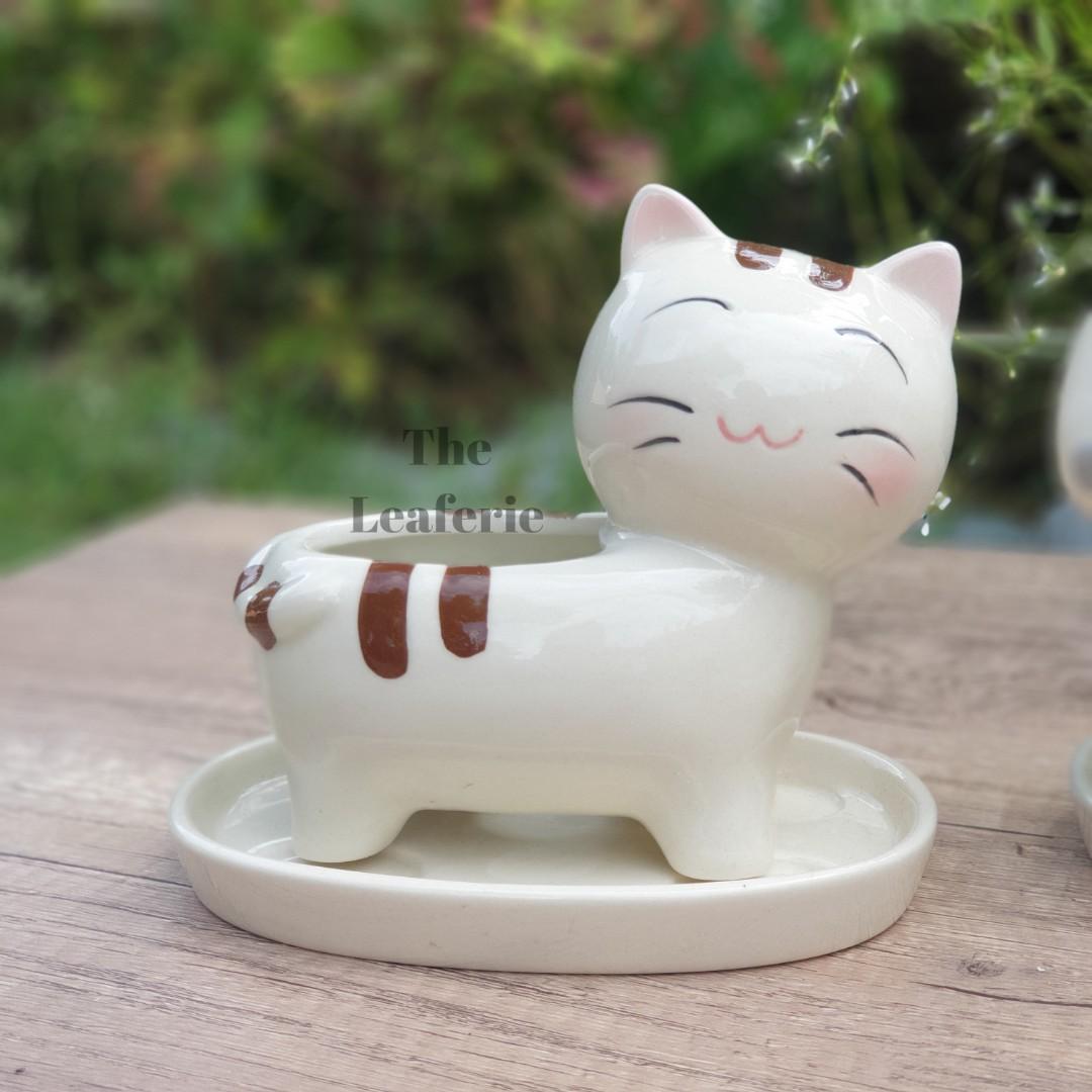 The Leaferie Simba plant pot . Flowerpot . Ceramic planter . Plants ...