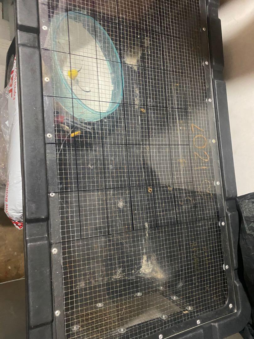 RUSH 55L Bin Cage, Pet Supplies, Homes & Other Pet Accessories on Carousell