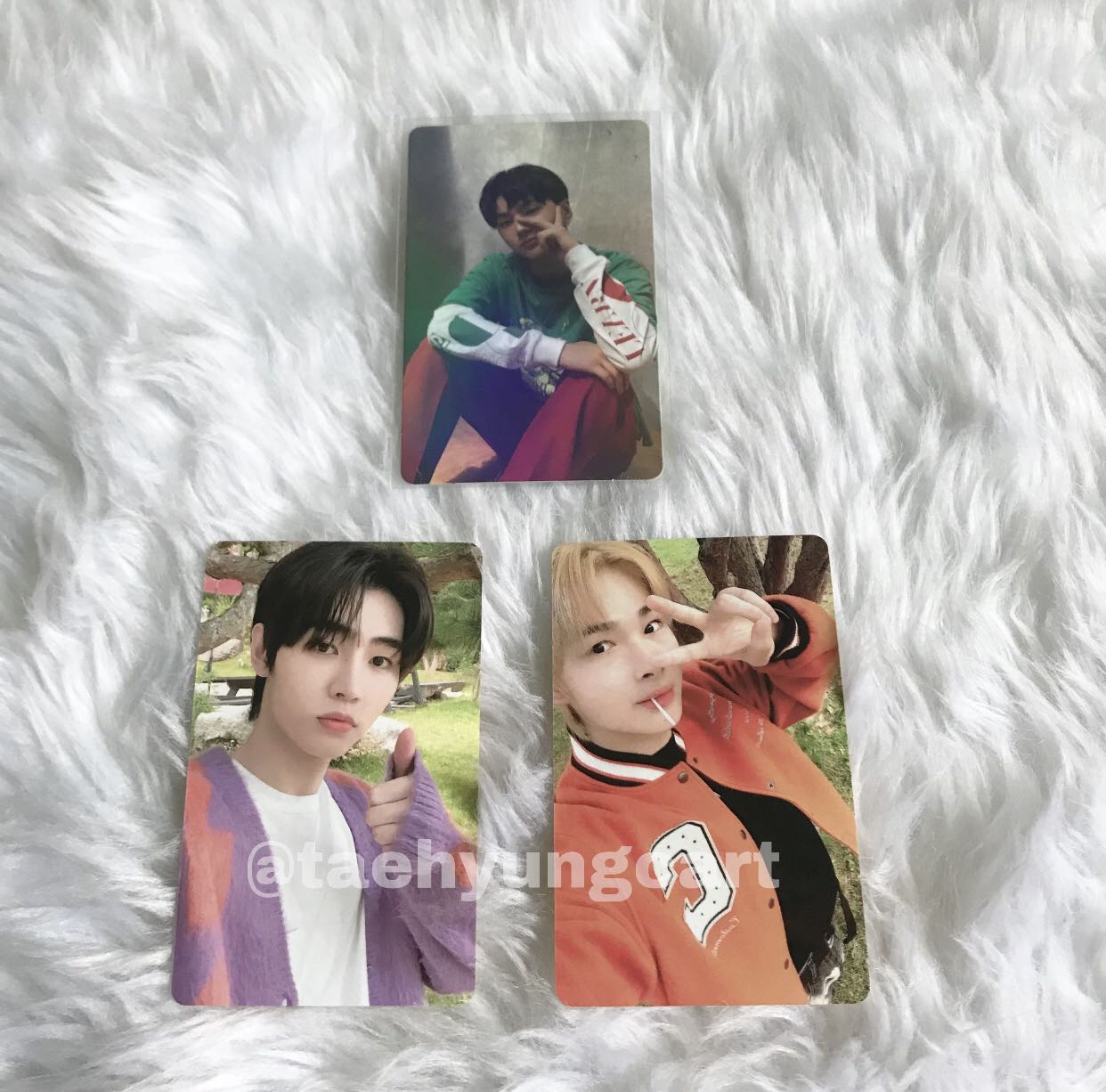 ENHYPEN PC SET (Jay Holo, SG22 Sunghoon and Niki), Hobbies & Toys, Memorabilia & Collectibles, K ...