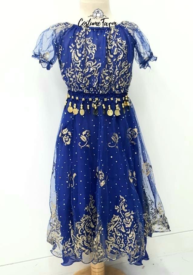 Ethnic Traditional Indian Girl Costume - Deepavali costume /Racial ...