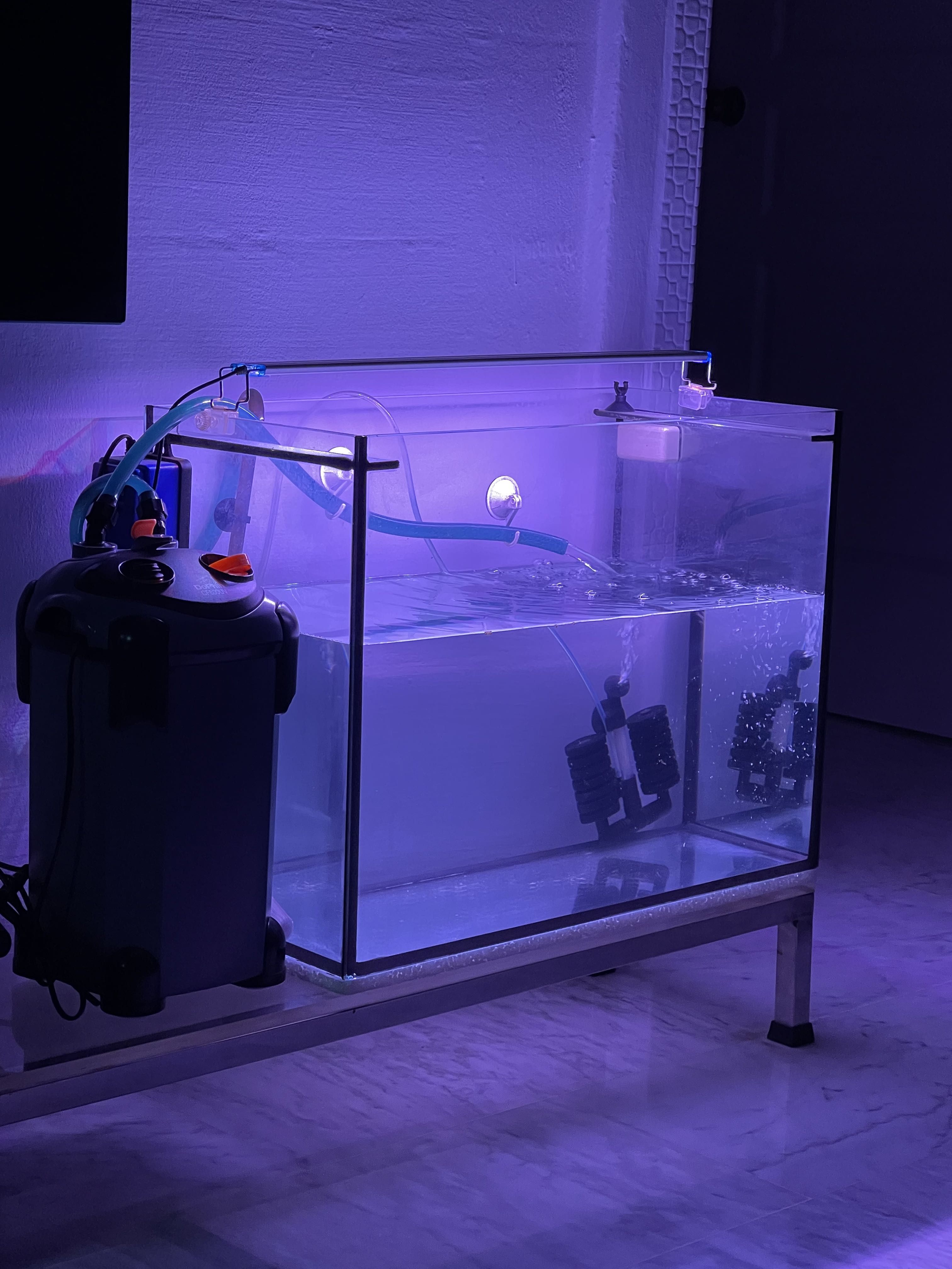 Fish Tank 2 ft, Pet Supplies, Homes & Other Pet Accessories on Carousell