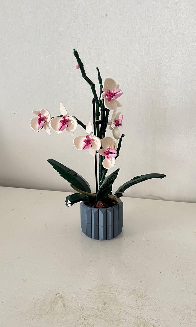 Lego Orchid Botanical Collection, Hobbies & Toys, Stationery & Craft ...