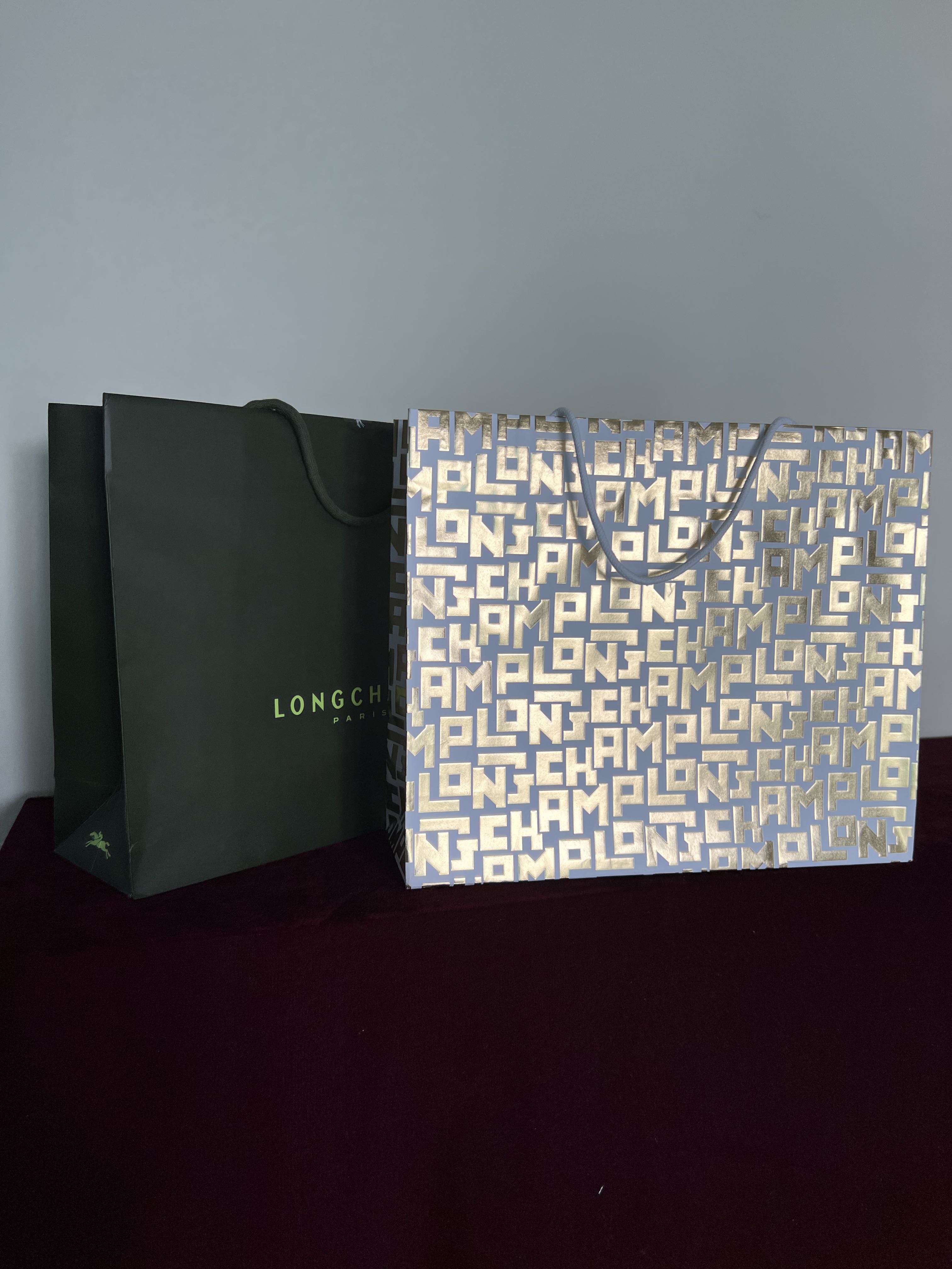 Longchamp paper bag, Hobbies & Toys, Stationery & Craft, Craft Supplies ...