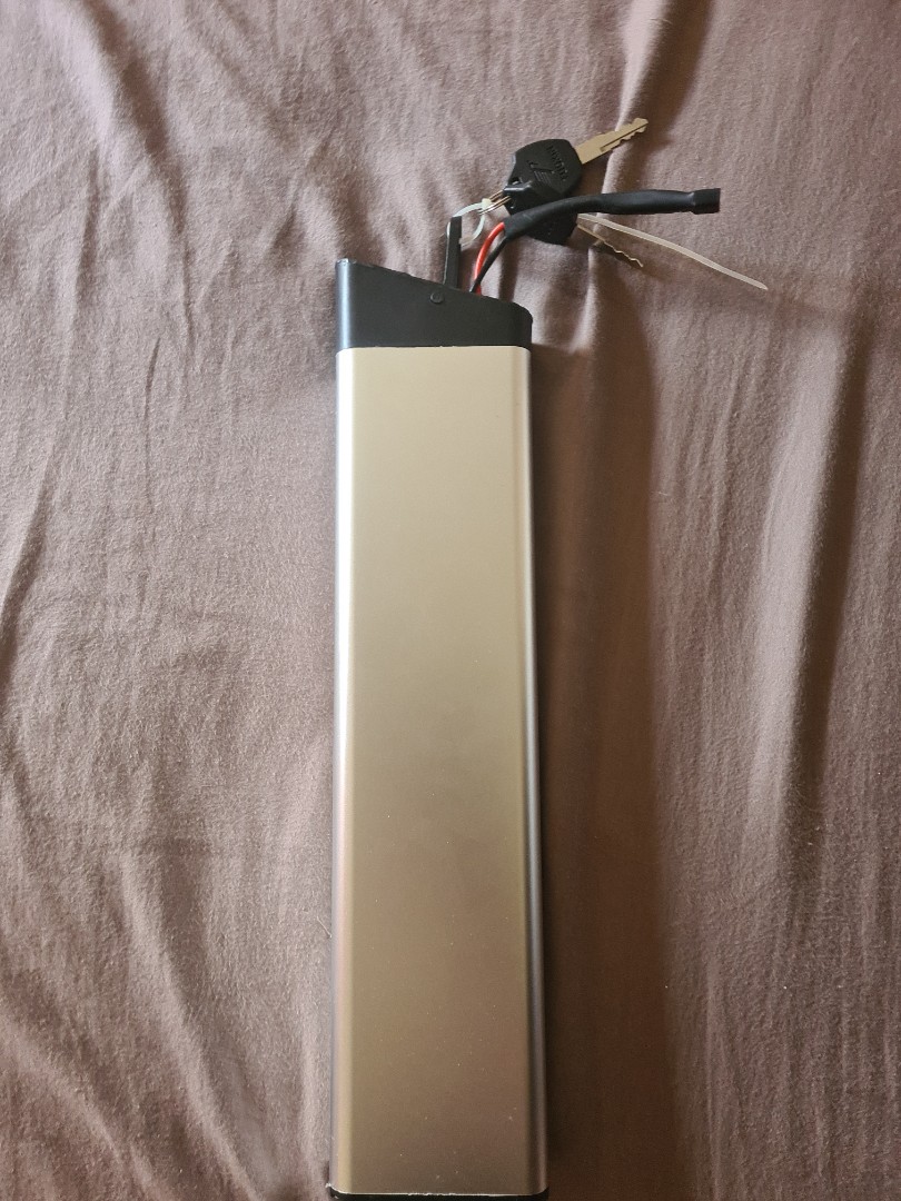 Zebra Ebike original case 10AH battery ( Approved by LTA ), Sports ...