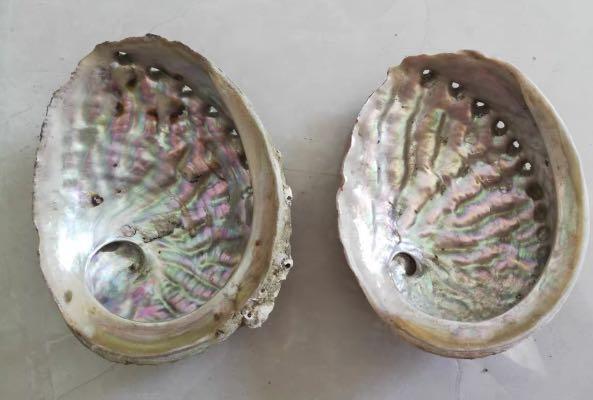 澳洲鮑魚殼 Australian abalone shells 約 13-14cm 可配搭鼠尾草 聖木 淨化空間, 傢俬＆家居, 家居香薰 ...