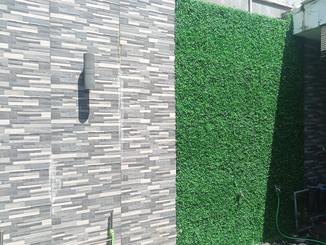 Daun Dolar Sintetis Solusi Untuk Penutup Dinding Tembok Yang Kumuh ...