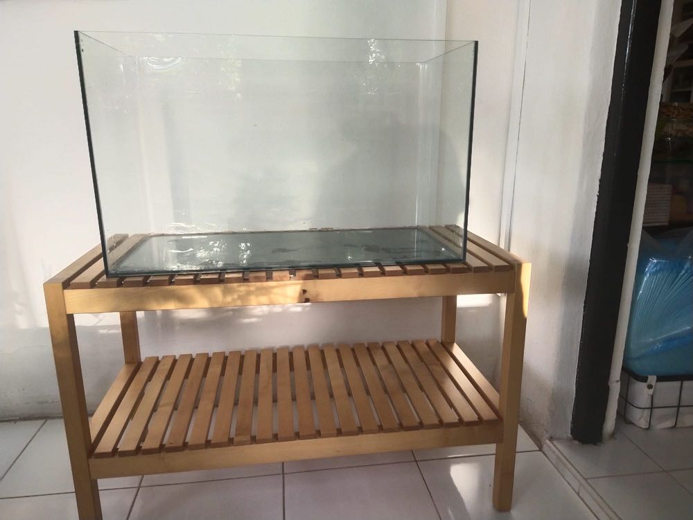 Fish tank 50cm x 3cm (relocation), Furniture & Home Living, Home Decor ...