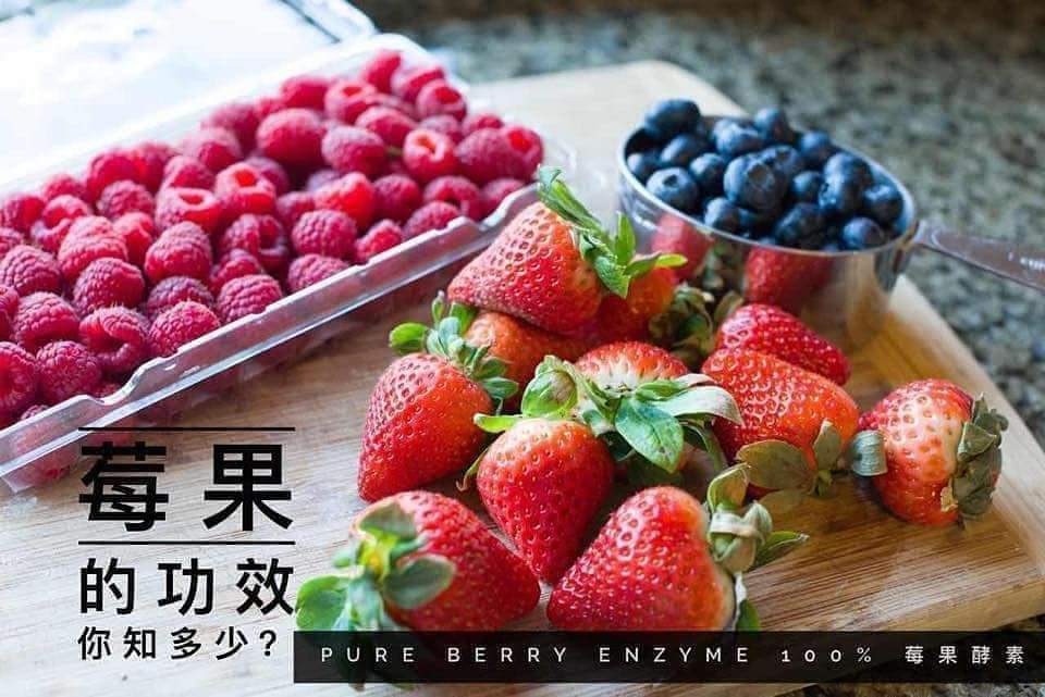 Pureberry Enzyme, Health & Nutrition, Health Supplements, Vitamins ...