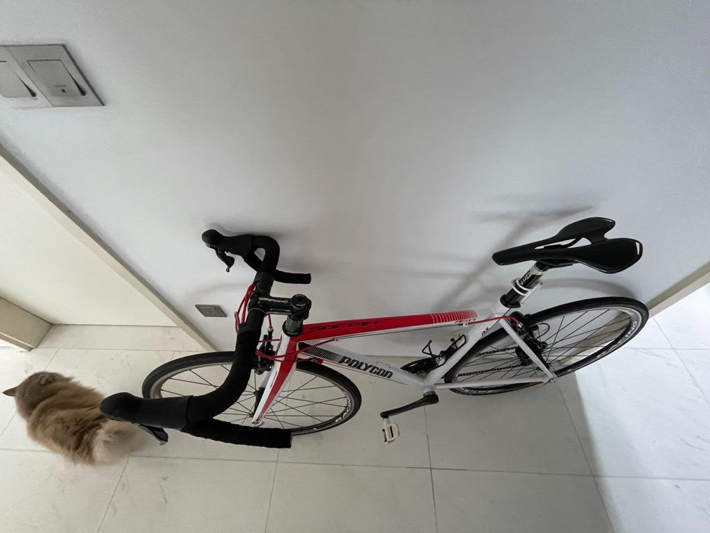 Road Bike Polygon Helios A5.0, Sports Equipment, Bicycles & Parts ...