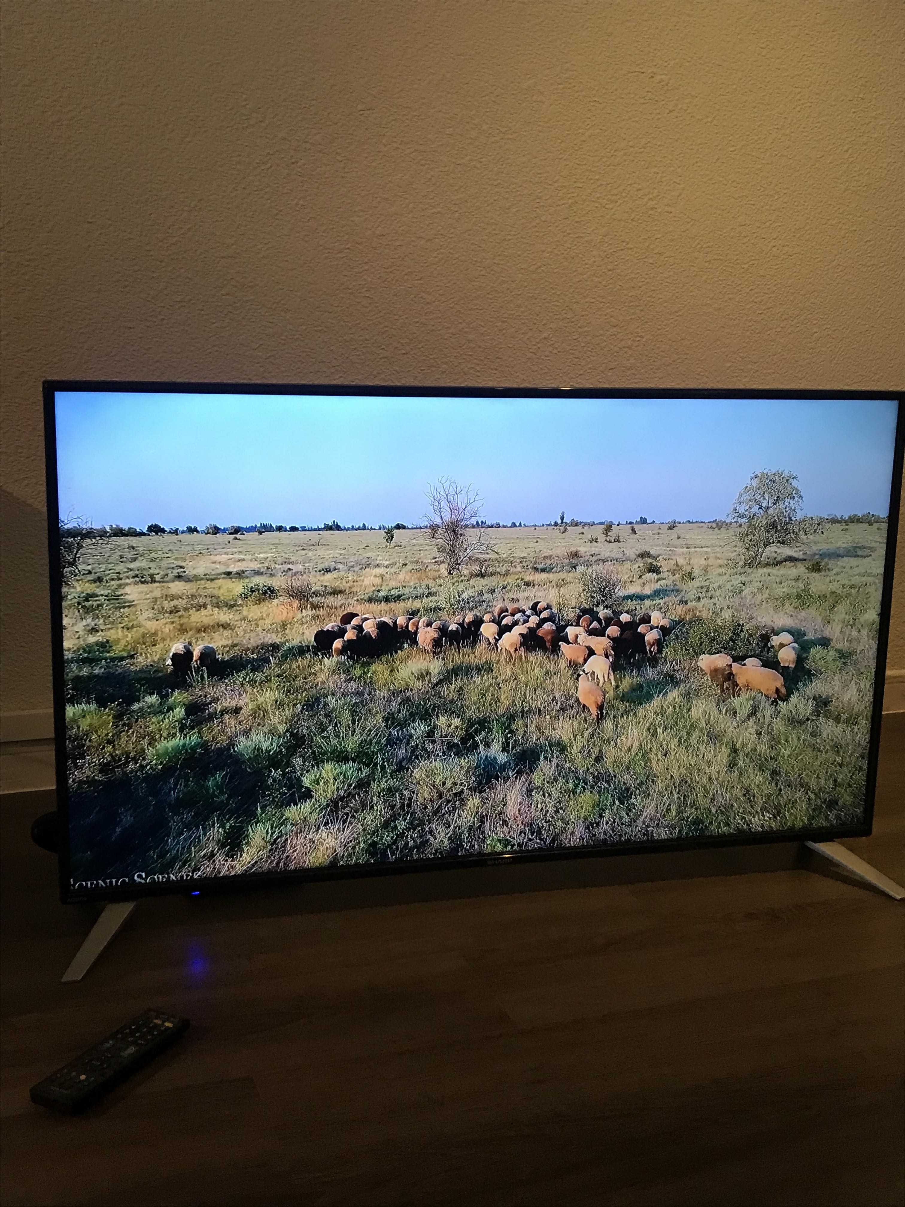 SHARP led blacklight tv - AQUOS, TV & Home Appliances, TV ...