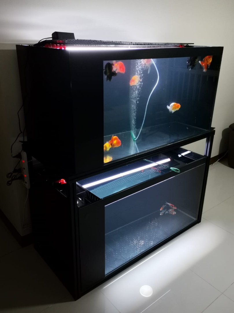 2 Tier Tanks | Full set Aquarium | Monster Tanks, Pet Supplies, Homes ...