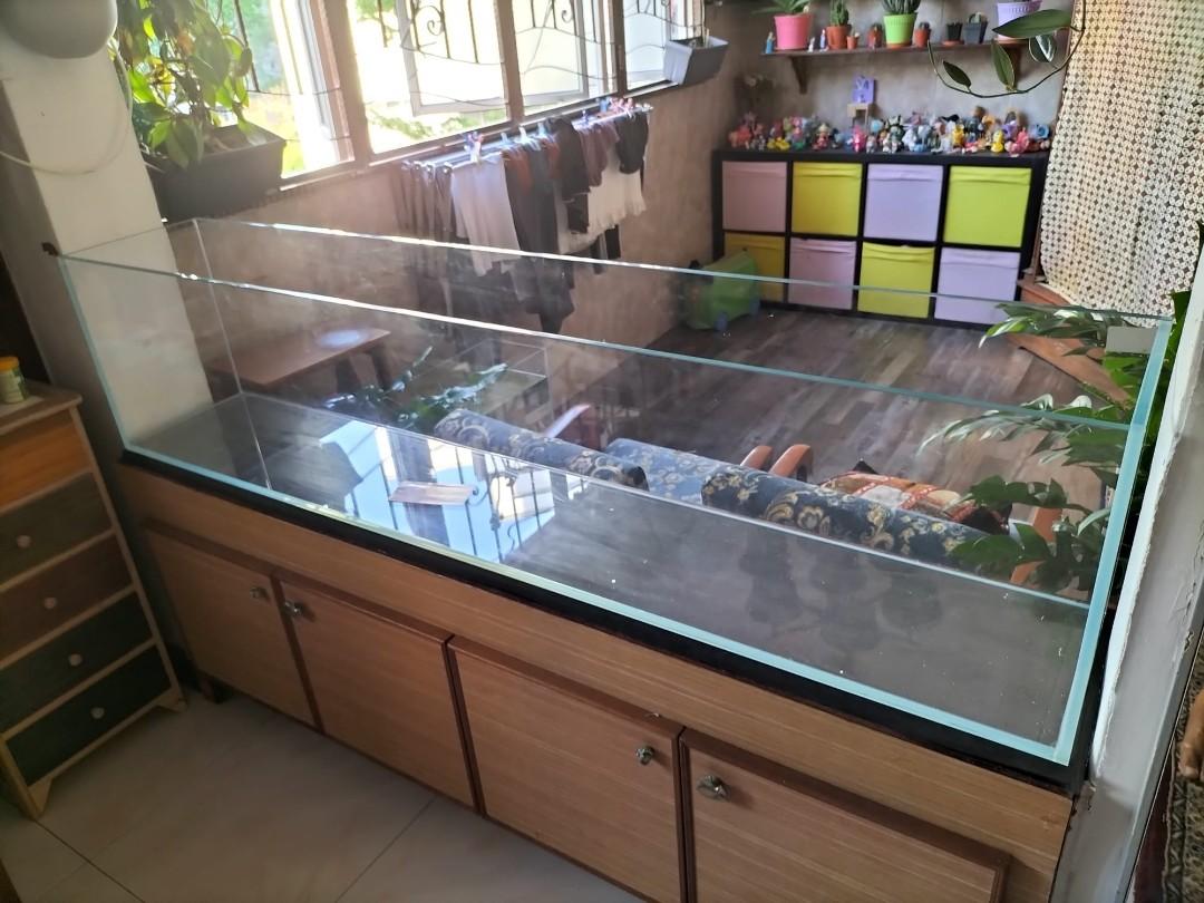 2 Tier Tanks | Full set Aquarium | Monster Tanks, Pet Supplies, Homes ...