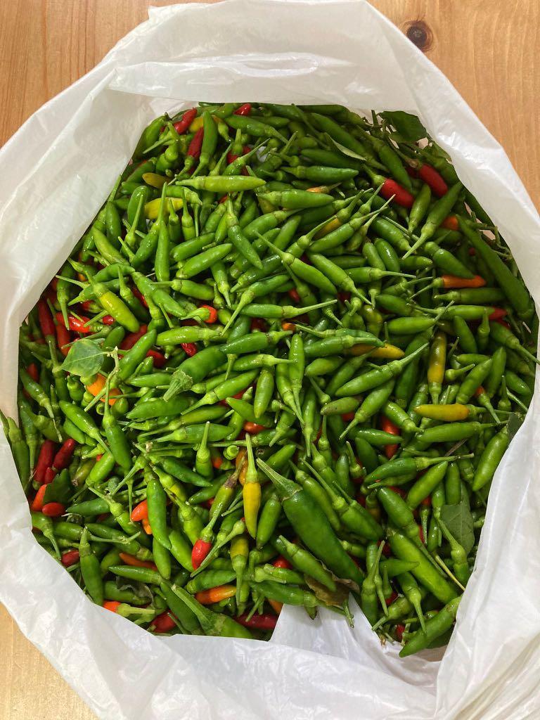 Chilli Padi - 1kg, Food & Drinks, Fresh Produce on Carousell