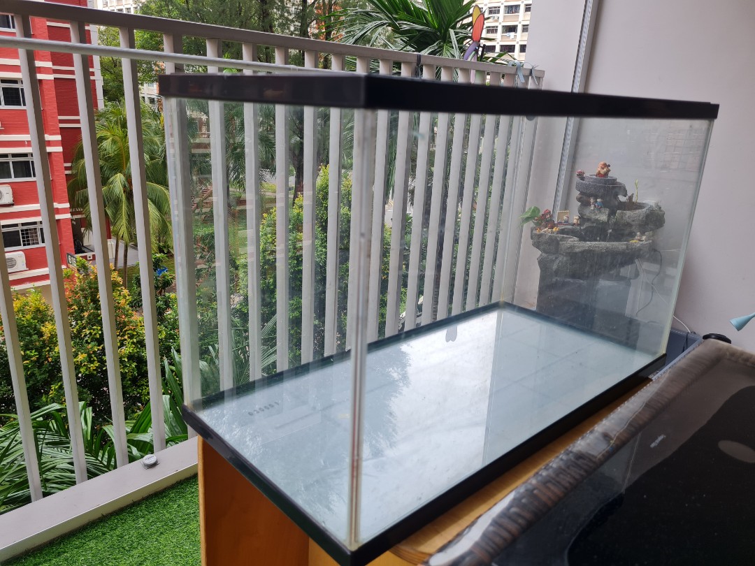Fish tank 60 x 30cm, Pet Supplies, Homes & Other Pet Accessories on ...