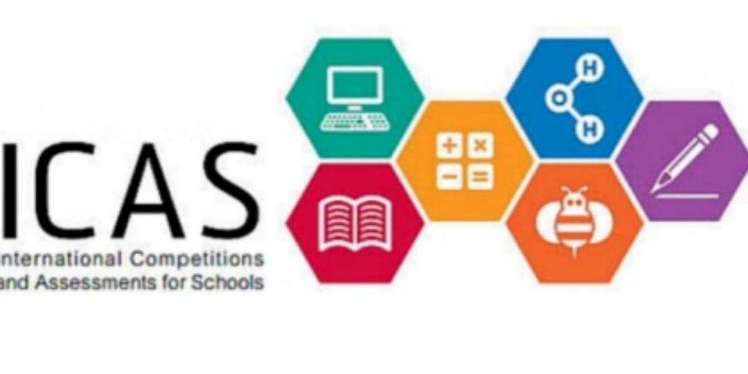 ICAS test e-paper pdf, Hobbies & Toys, Books & Magazines, Assessment ...