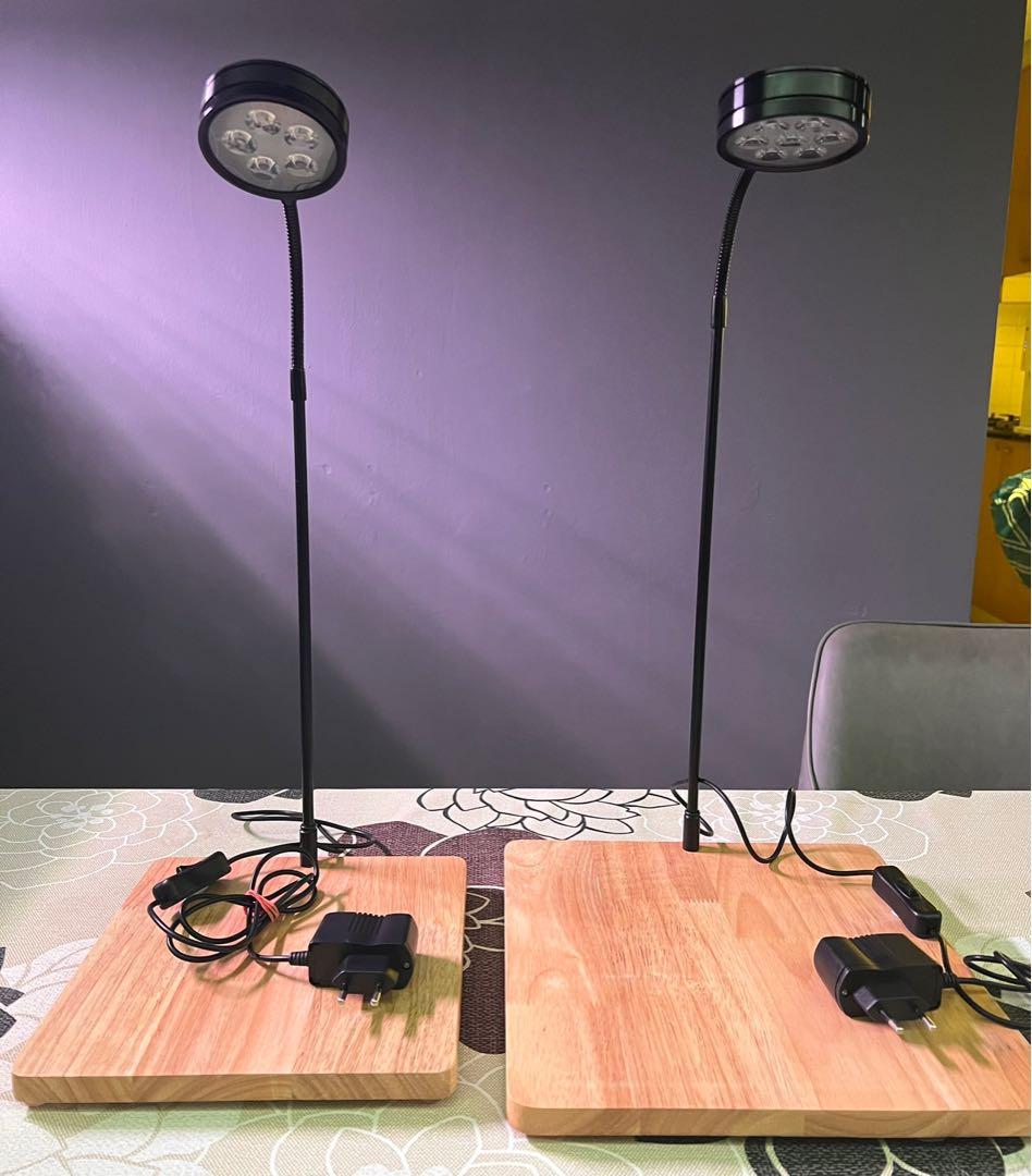 LED Light Stand with Wooden Base for Indoor Succulent Plant Display ...