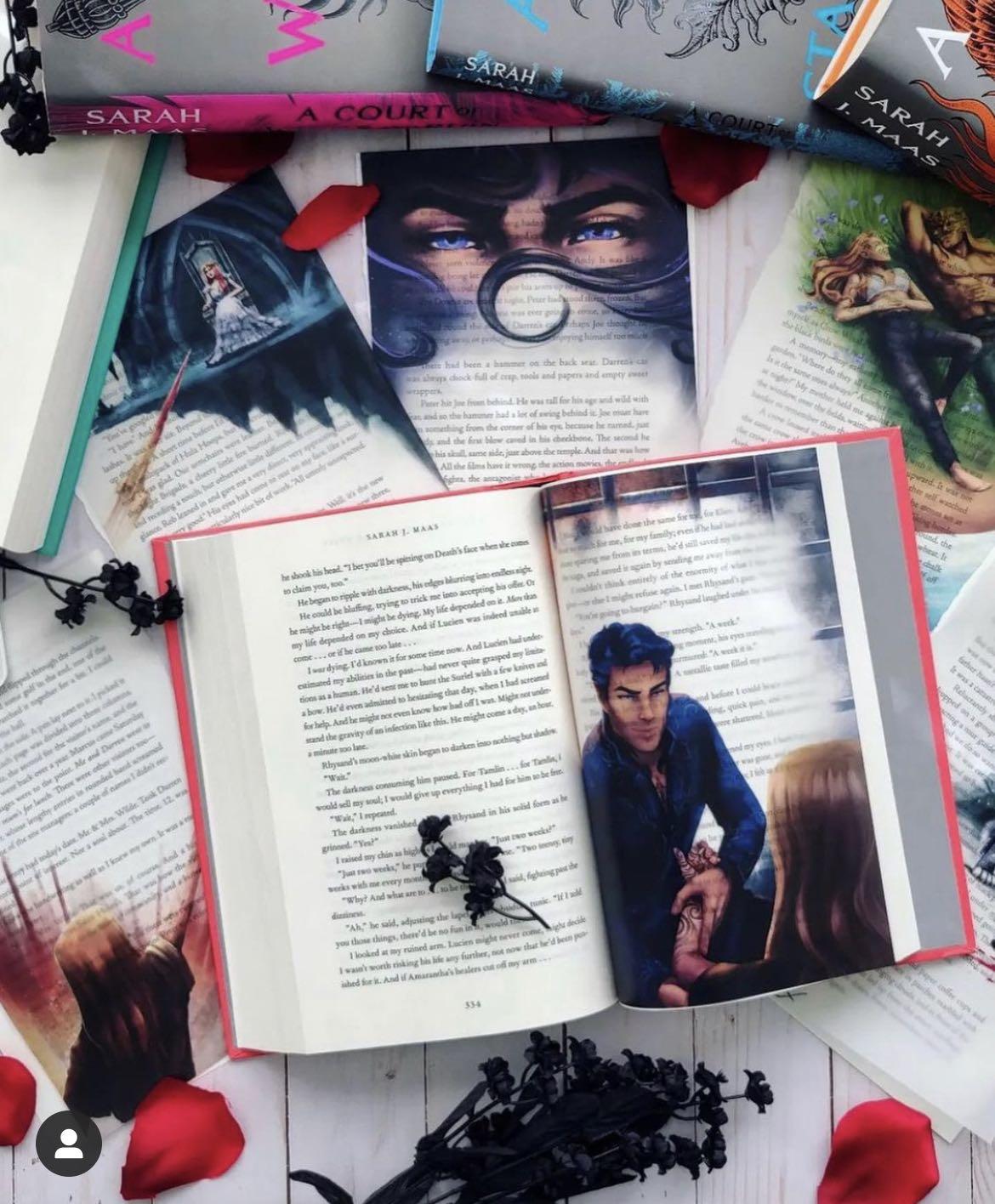 ACOTAR Hardcover Page Overlays, Hobbies & Toys, Books & Magazines ...