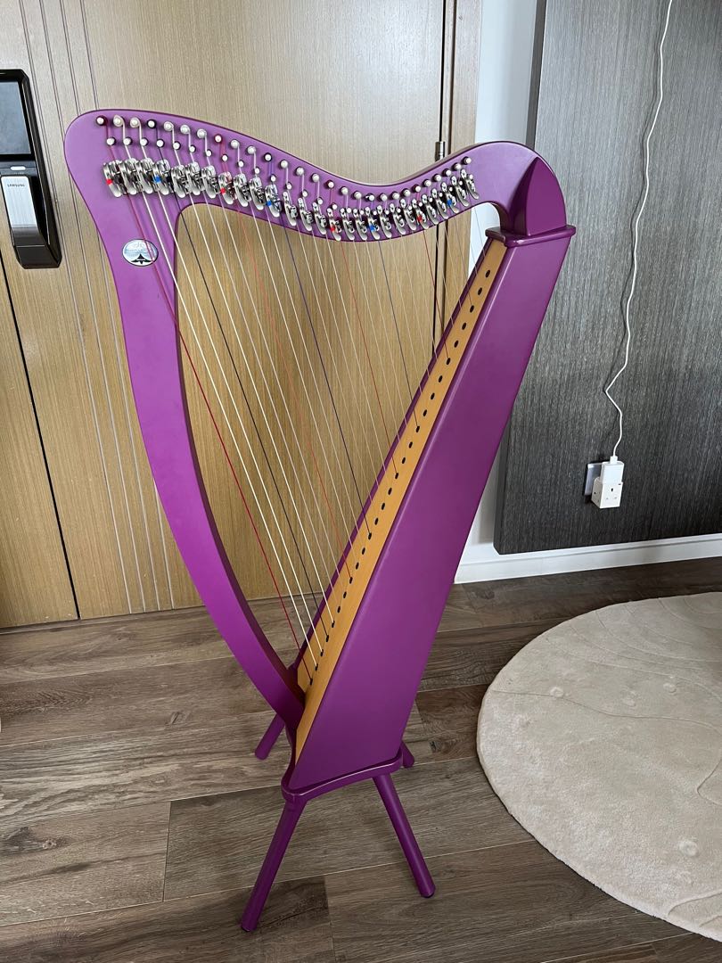 Camac lever harp Bardic 27 - purple 豎琴, 興趣及遊戲, 音樂、樂器 & 配件, 樂器 - Carousell