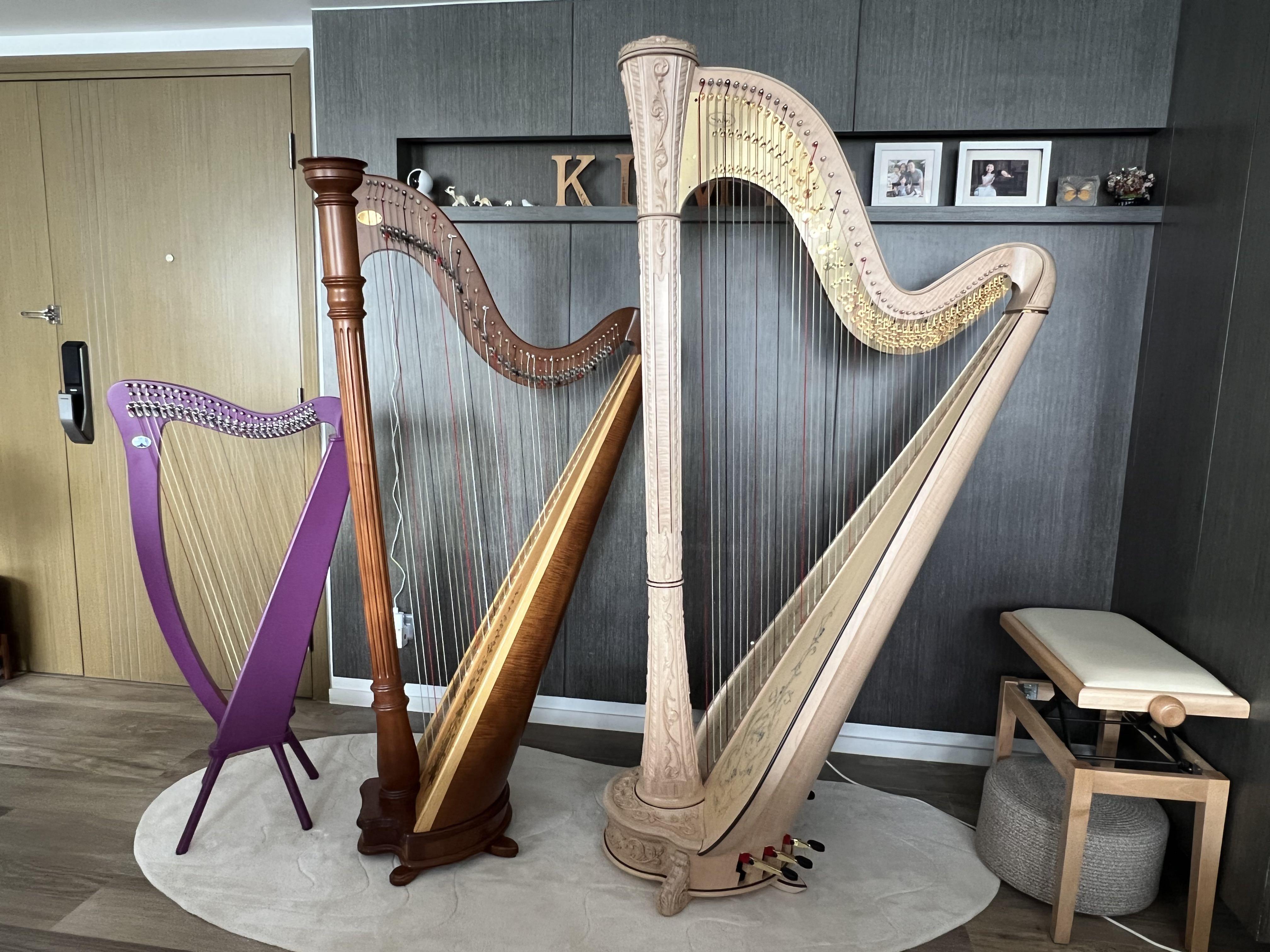 Camac lever harp Bardic 27 - purple 豎琴, 興趣及遊戲, 音樂、樂器 & 配件, 樂器 - Carousell