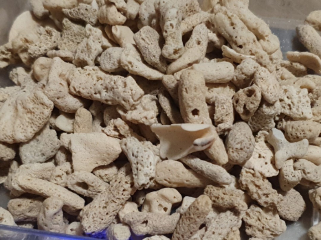 Coral Chips, Pet Supplies, Homes & Other Pet Accessories on Carousell
