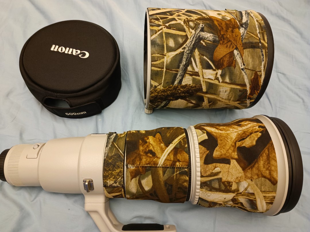 Canon 600 F4.0 IS II USM + EOS R Body, Photography, Lens & Kits on ...