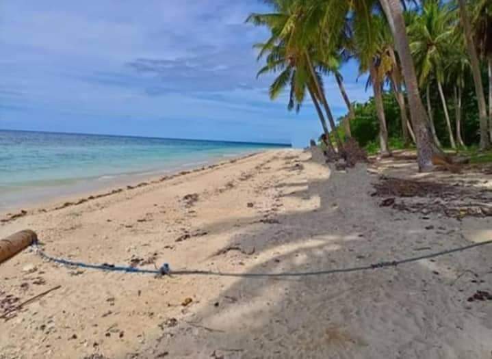 500 meters Frontage of 15 Hectares White Sand Beach in Gov. Gen ...