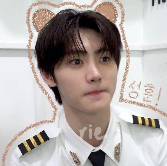 enhypen sunghoon mailing stickers, Hobbies & Toys, Memorabilia ...