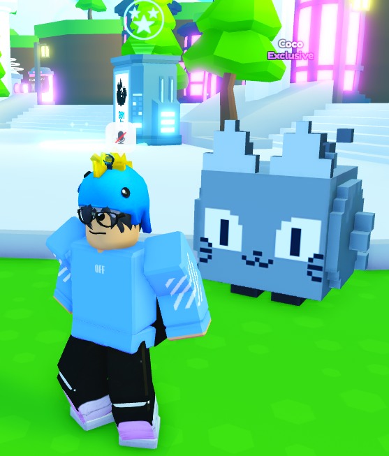 PET SIMULATOR X HUGE PIXEL CAT , Video Gaming, Gaming Accessories, In ...