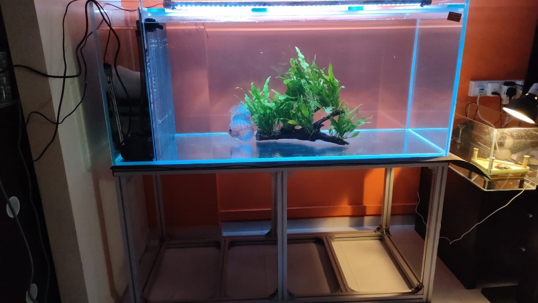 Custom Made IOS Tanks, Pet Supplies, Homes & Other Pet Accessories on ...