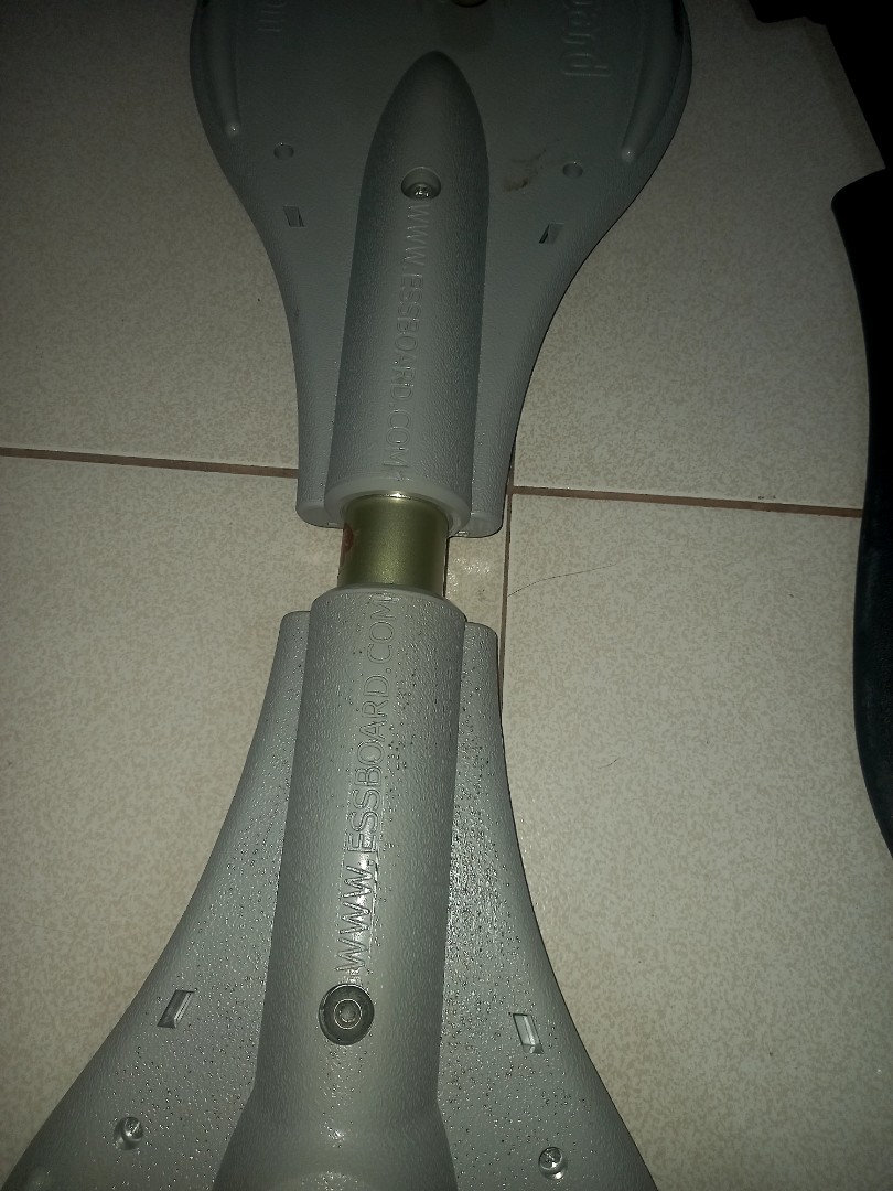 ESS board Boyish Ver limited edition with bag, Sports Equipment, Sports ...