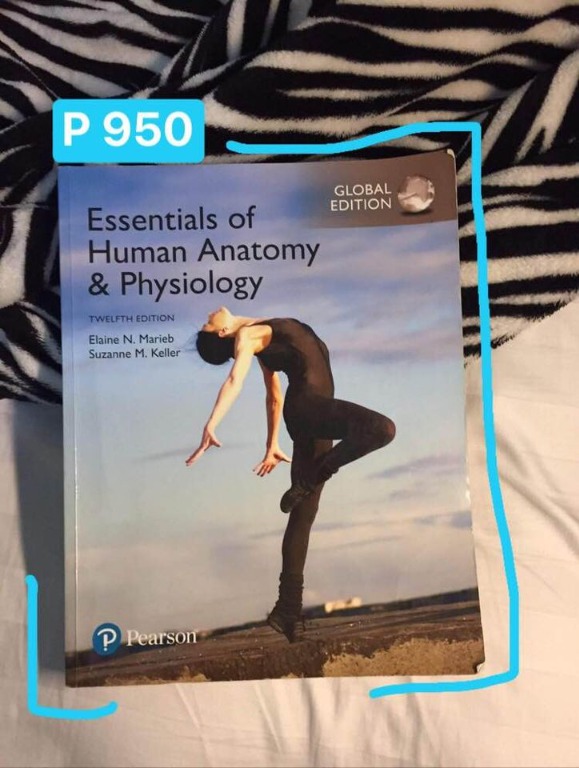 Essentials in Human Anatomy and Physiology by Marieb & Keller, Hobbies ...