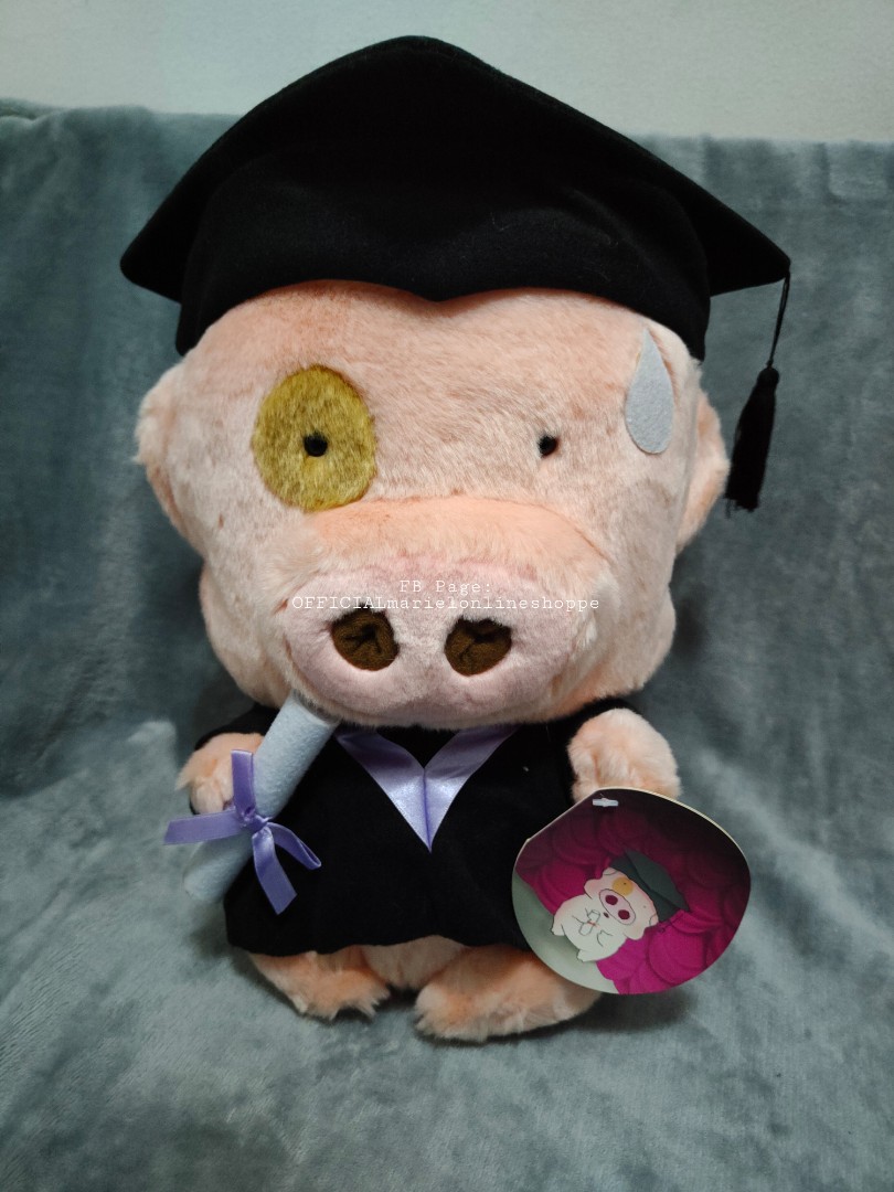 GRADUATION PIGGY, Hobbies & Toys, Toys & Games on Carousell