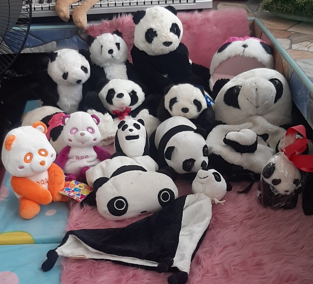 Panda Bundle, Hobbies & Toys, Toys & Games on Carousell
