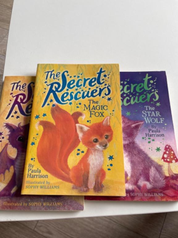 The secret rescuers story book, 興趣及遊戲, 書本 & 文具, 小說 & 故事書 - Carousell