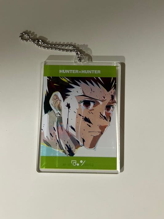 Hunter x Hunter gon keychain, Hobbies & Toys, Memorabilia ...