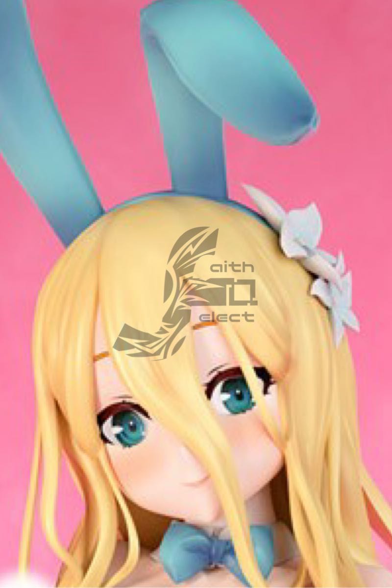 Nikukan Shoujo Alice Follwing Eyes ver., 預購 - Carousell